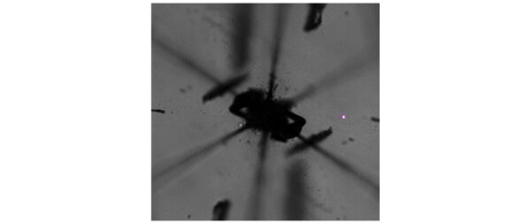 Prism Alignment Using A Point Source Microscope - Optical Perspectives ...